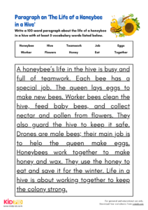 Paragraph on 'The Life of a Honeybee in a Hive' - Kidpid