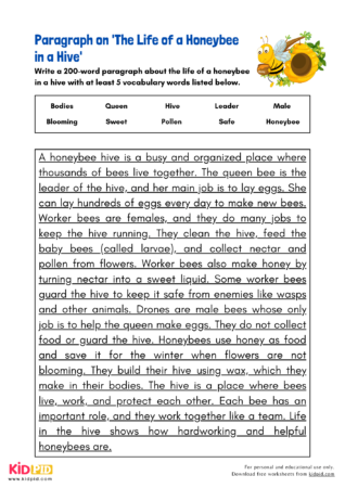 Paragraph on 'The Life of a Honeybee in a Hive' - Kidpid