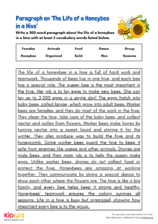 Paragraph on 'The Life of a Honeybee in a Hive' - Kidpid