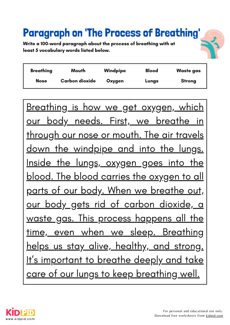 Paragraph on 'The Process of Breathing' - Kidpid