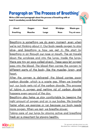 Paragraph on 'The Process of Breathing' - Kidpid