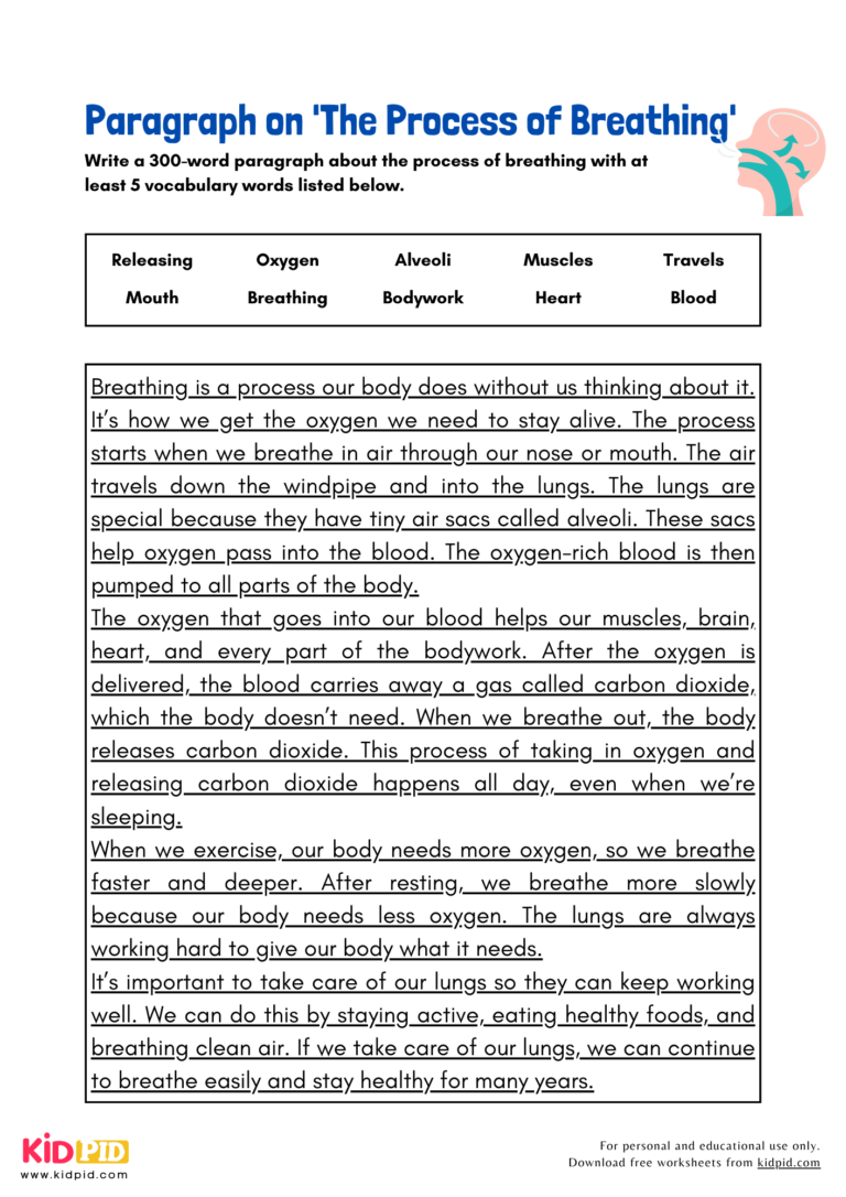 Paragraph on 'The Process of Breathing' - Kidpid