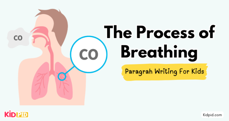 Paragraph on 'The Process of Breathing' - Kidpid