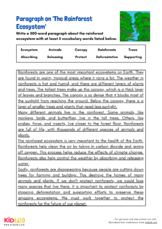 Paragraph on 'The Rainforest Ecosystem' - Kidpid