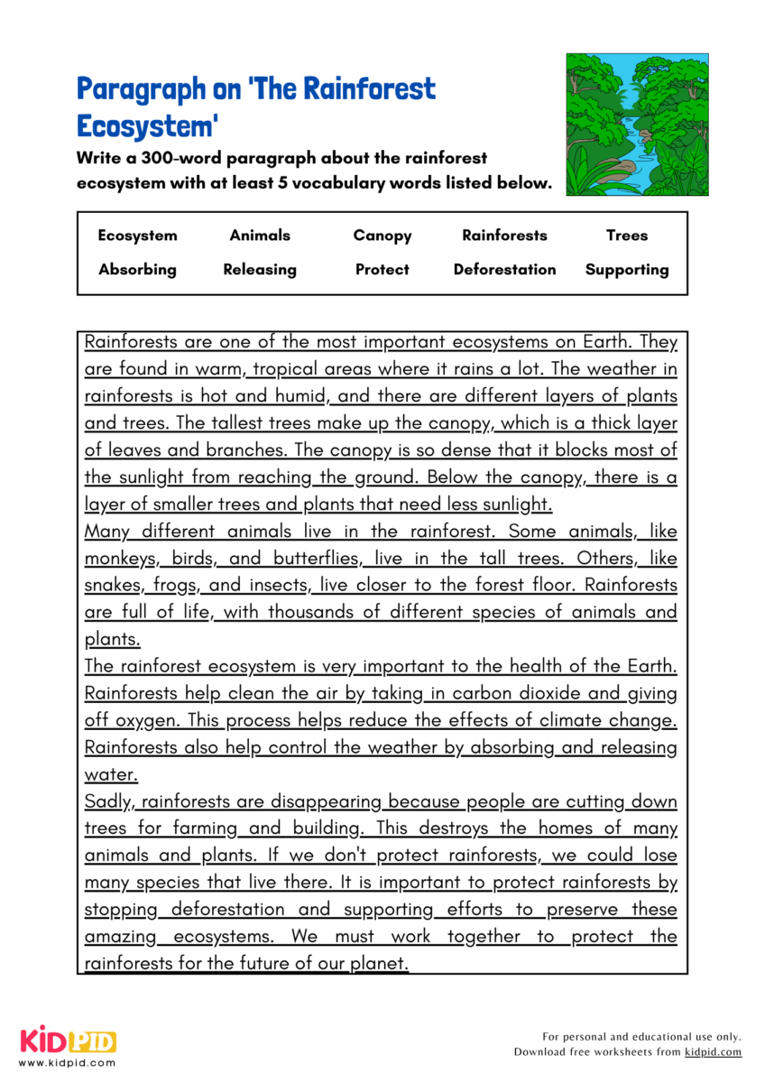 Paragraph on 'The Rainforest Ecosystem' - Kidpid