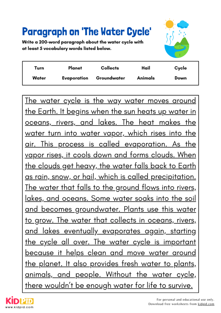 Paragraph on 'The Water Cycle' - Kidpid