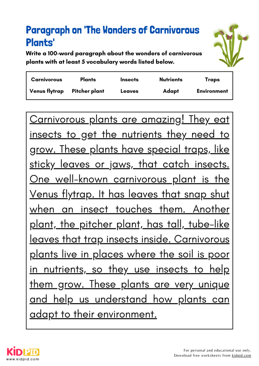 Paragraph on 'The Wonders of Carnivorous Plants' - Kidpid