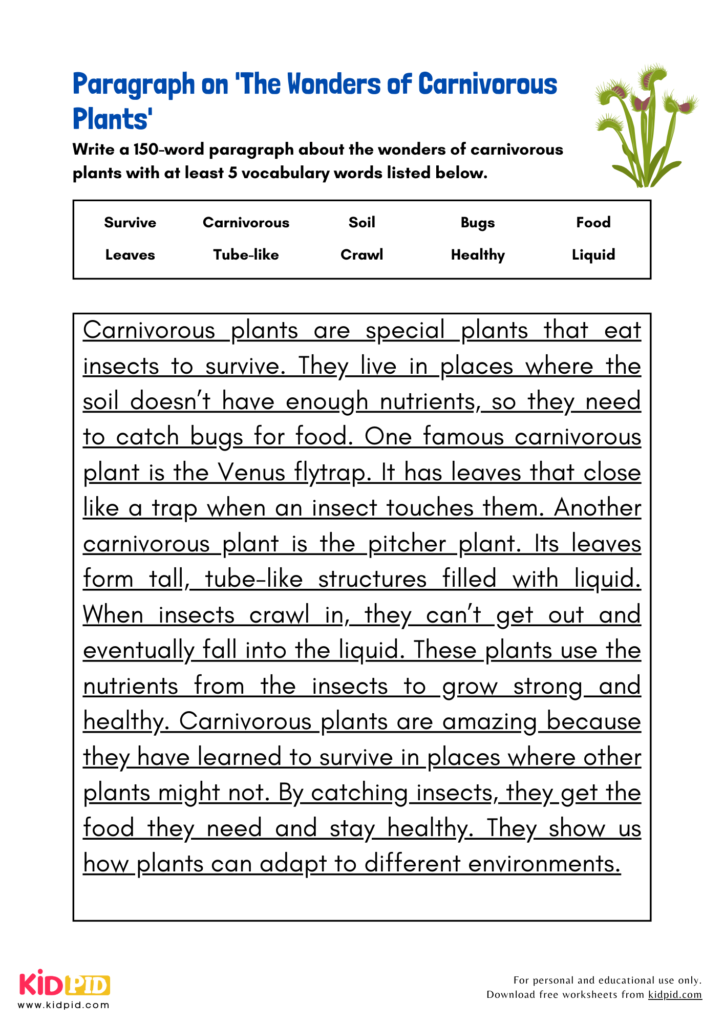 Paragraph on 'The Wonders of Carnivorous Plants' - Kidpid