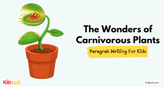 Paragraph on 'The Wonders of Carnivorous Plants' - Kidpid