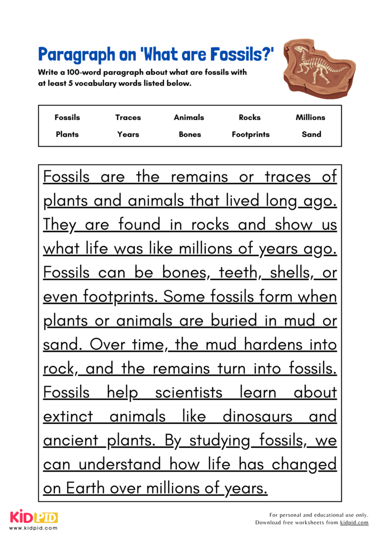 Paragraph on 'What are Fossils?' - Kidpid