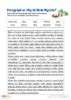 Paragraph on 'Why do Birds Migrate?' - Kidpid