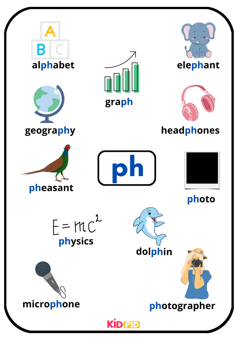 CVC Phonics Word Book - Kidpid