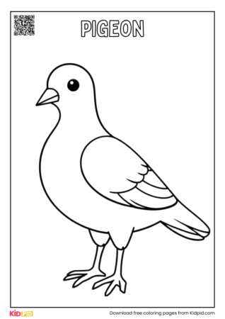 Birds Coloring Pages For Kids - Kidpid