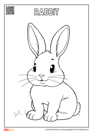 Pet Animals Coloring Pages For Kids - Kidpid