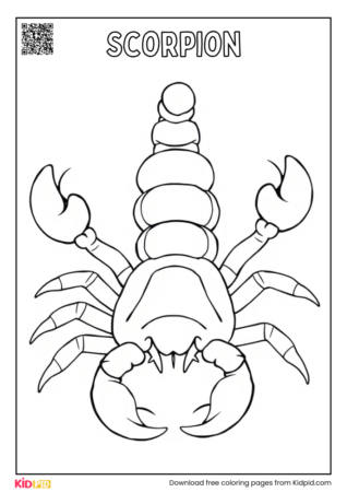 Desert Animals Coloring Pages For Kids - Kidpid