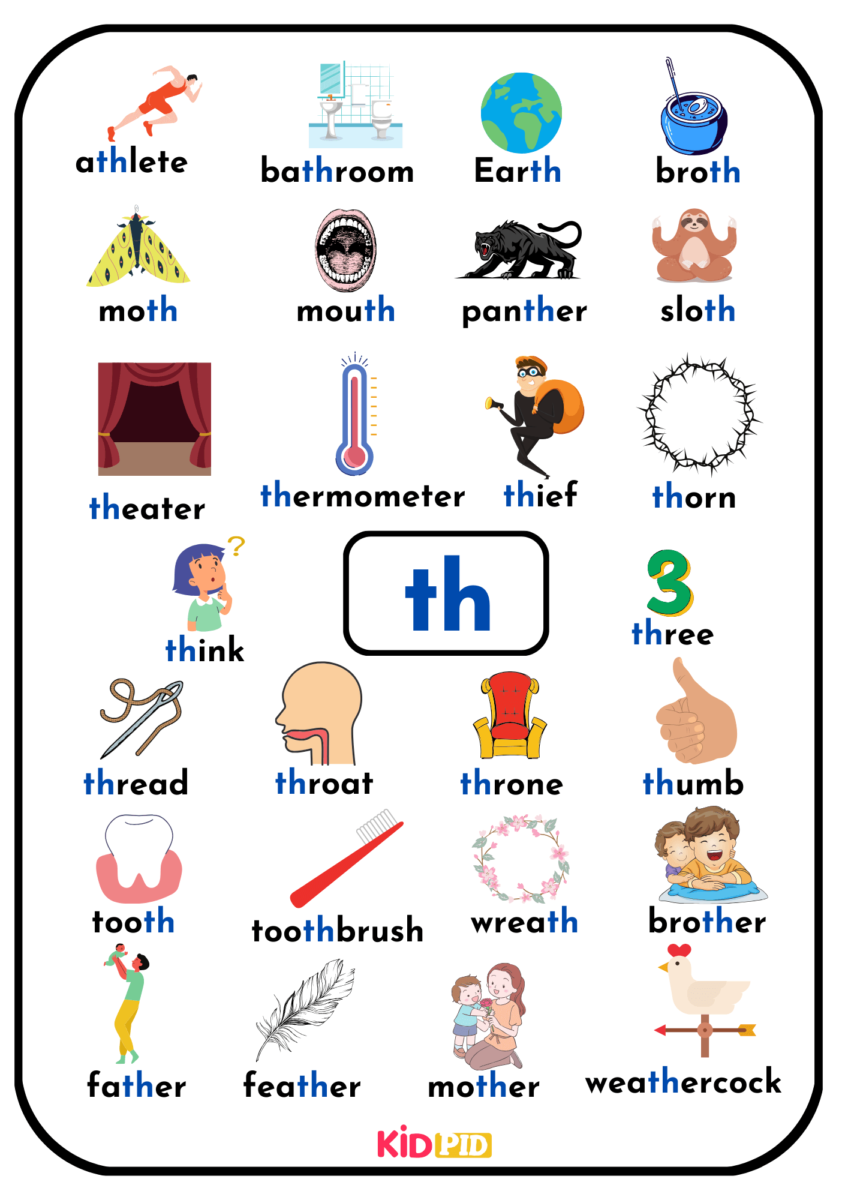 CVC Phonics Word Book - Kidpid