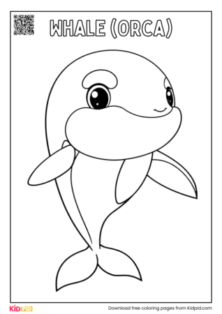 Polar Animals Coloring Pages for Kids - Kidpid