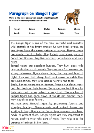 Paragraph on 'Bengal Tiger' - Kidpid