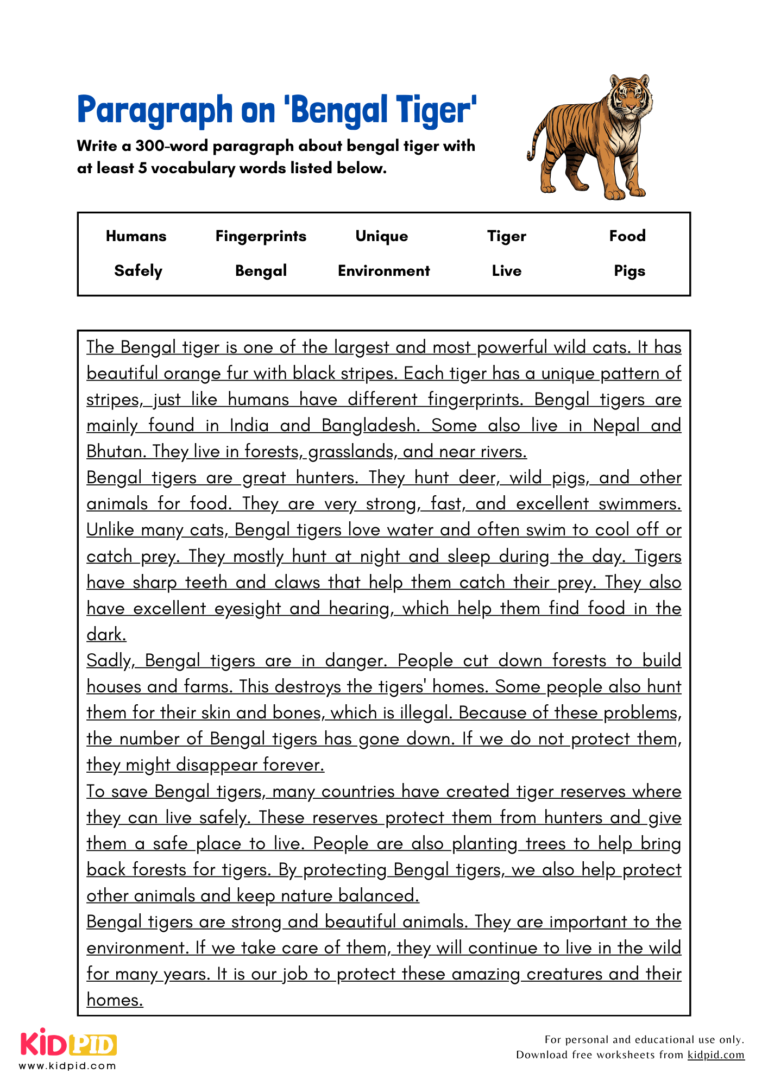 Paragraph on 'Bengal Tiger' - Kidpid