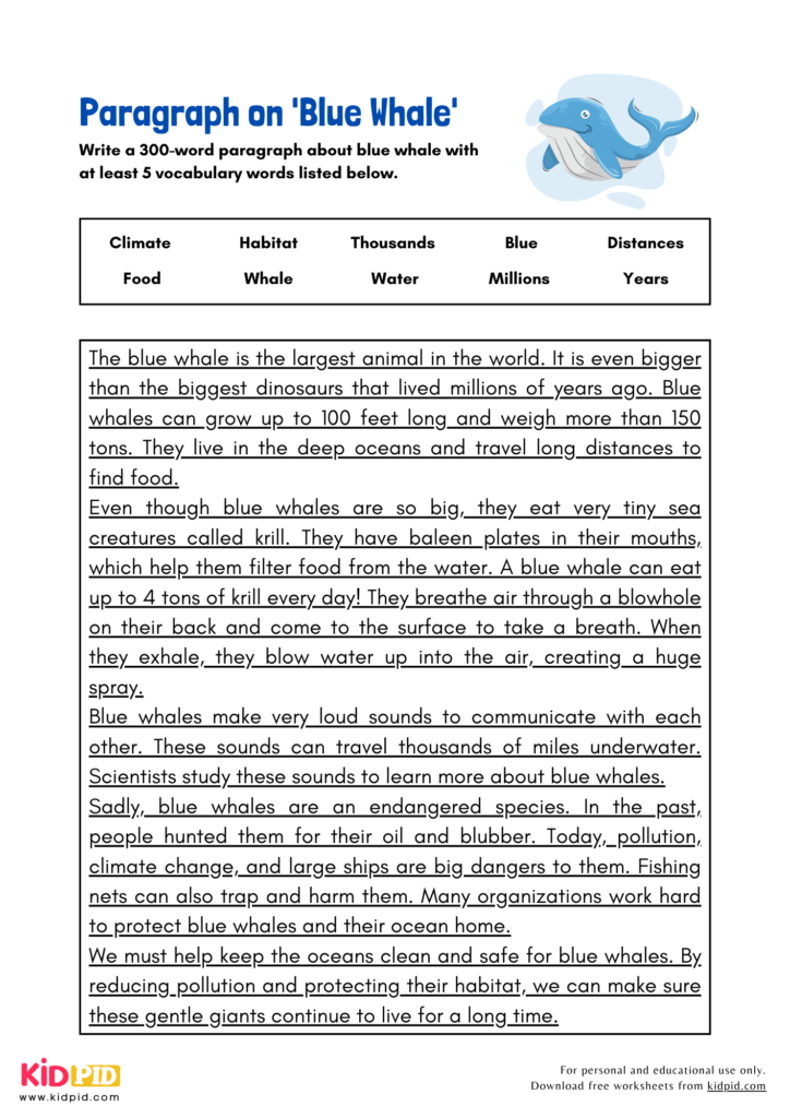 Paragraph on 'Blue Whale' - Kidpid