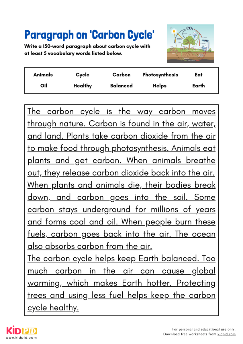 Paragraph on 'Carbon Cycle' - Kidpid