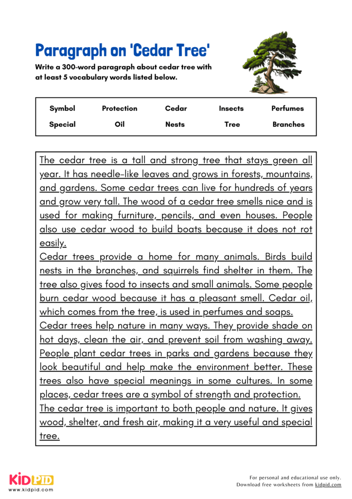 Paragraph on 'Cedar Tree' - Kidpid