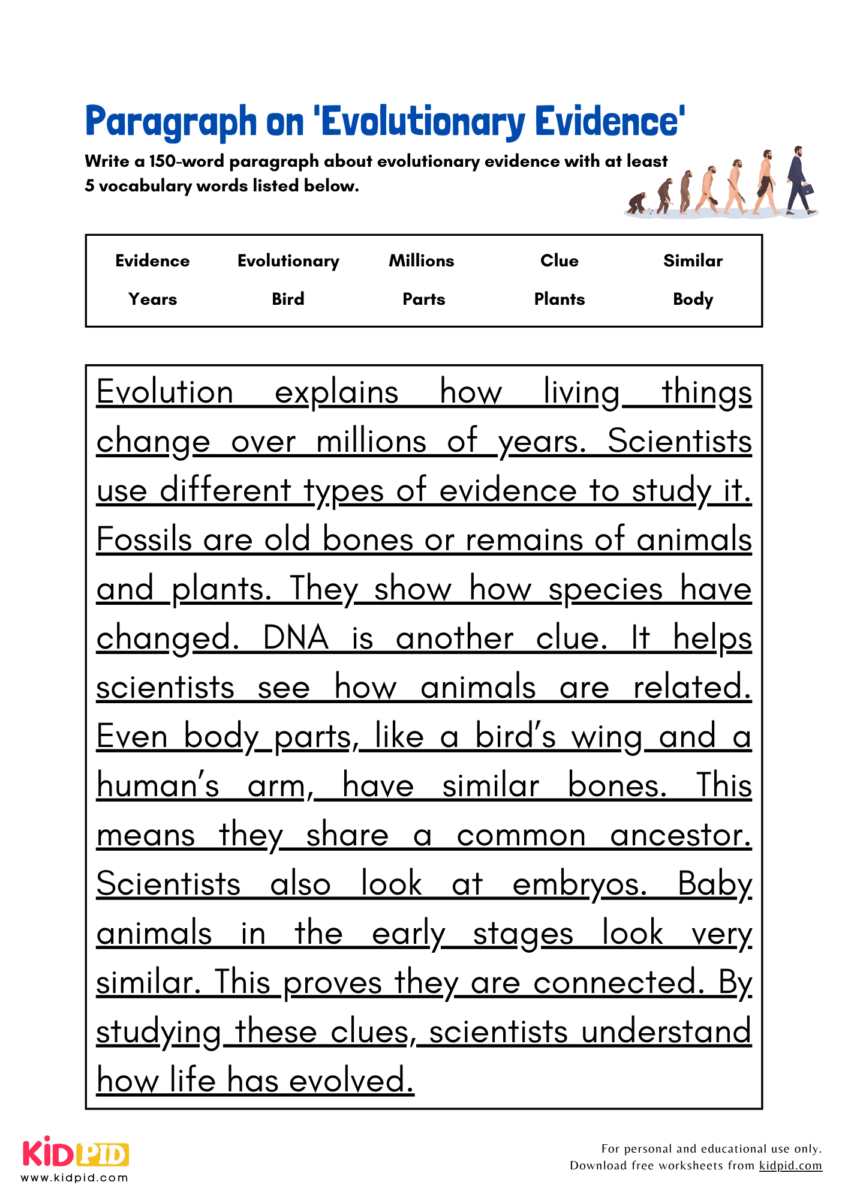 Paragraph on 'Evolutionary Evidence' - Kidpid