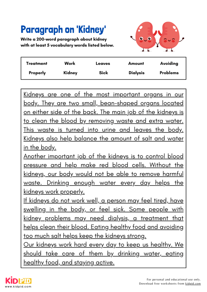 Paragraph on 'Kidney' - Kidpid