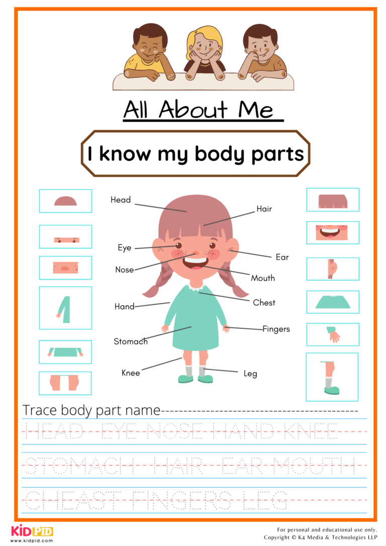 All About Me Workbook - Kidpid