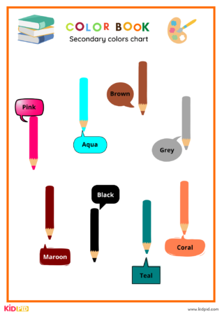Color Activity Book to Understand Colors - Kidpid