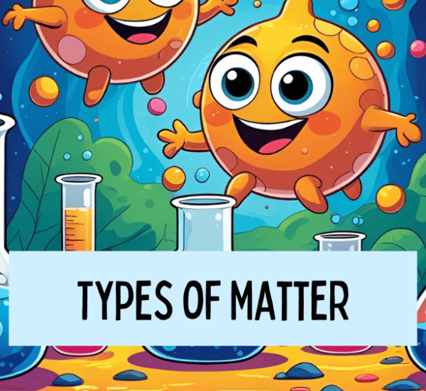 Birds Name With Pictures - Kidpid