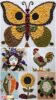 Grains and Pulses Art and Craft Projects for Kids - Kidpid