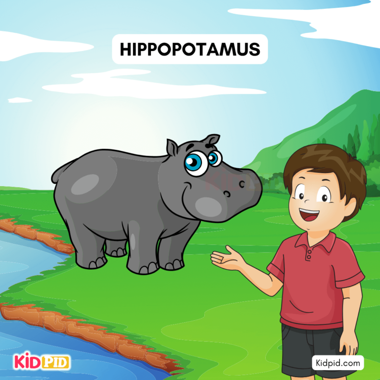 Wild Animals & Their Facts - Kidpid