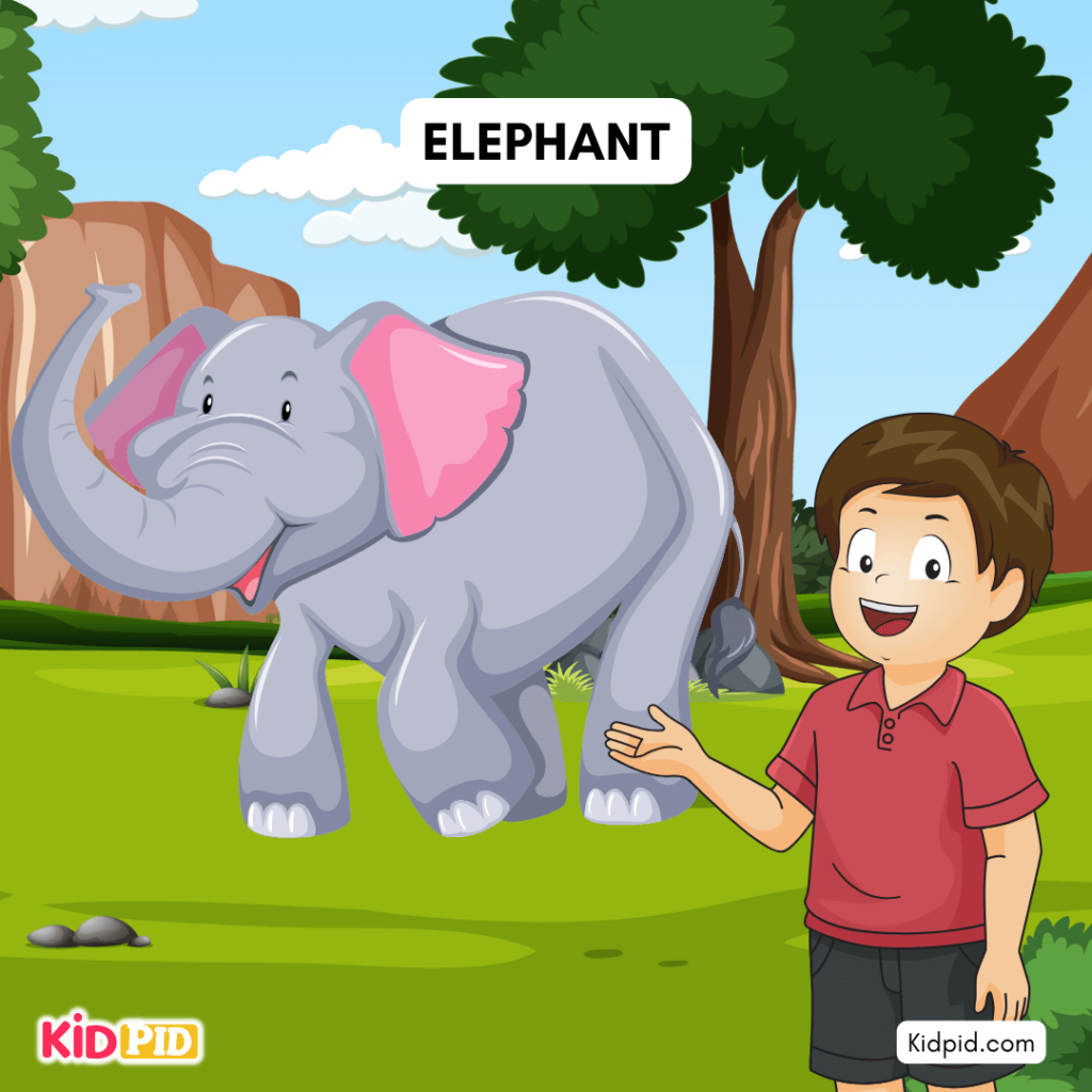 Wild Animals & Their Facts - Kidpid