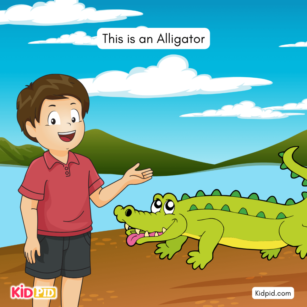 Wild Animals & Their Facts - Kidpid
