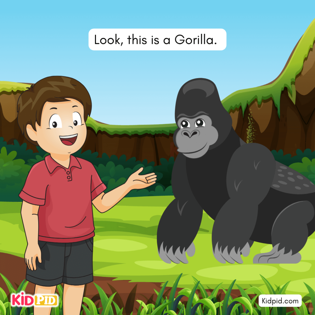Wild Animals & Their Facts - Kidpid