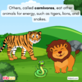 Food Chain – What Animals Eat and How It All Works - Kidpid