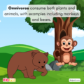 Food Chain – What Animals Eat and How It All Works - Kidpid