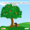 Food Chain – What Animals Eat and How It All Works - Kidpid