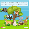 Food Chain – What Animals Eat and How It All Works - Kidpid