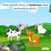 Food Chain – What Animals Eat and How It All Works - Kidpid