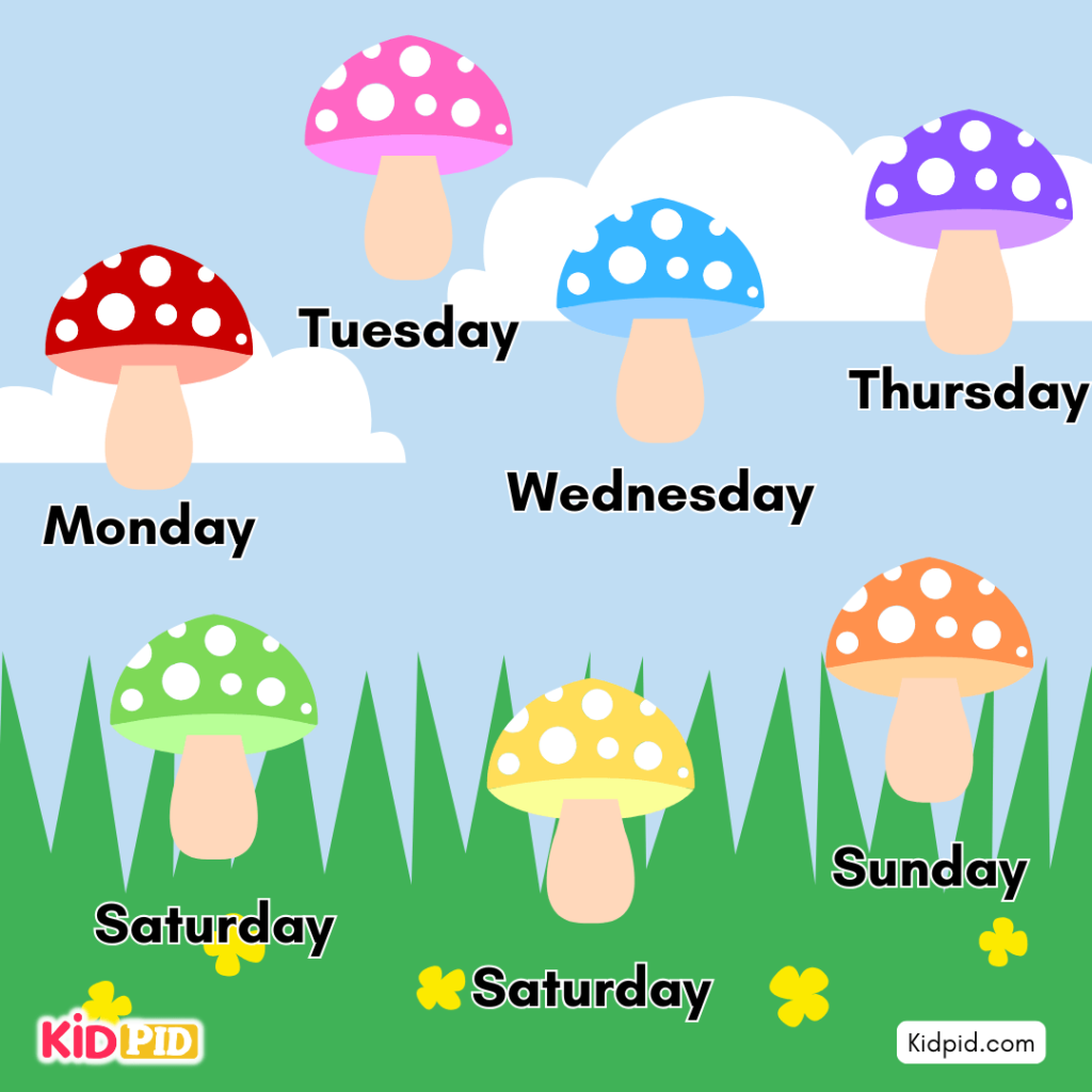 Learn the Days of the Week - Book for Kids - Kidpid