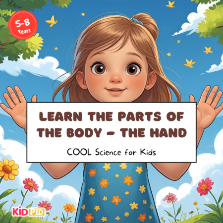 Explore the Parts of the Body – THE HAND - Kidpid