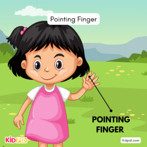 Explore the Parts of the Body – THE HAND - Kidpid