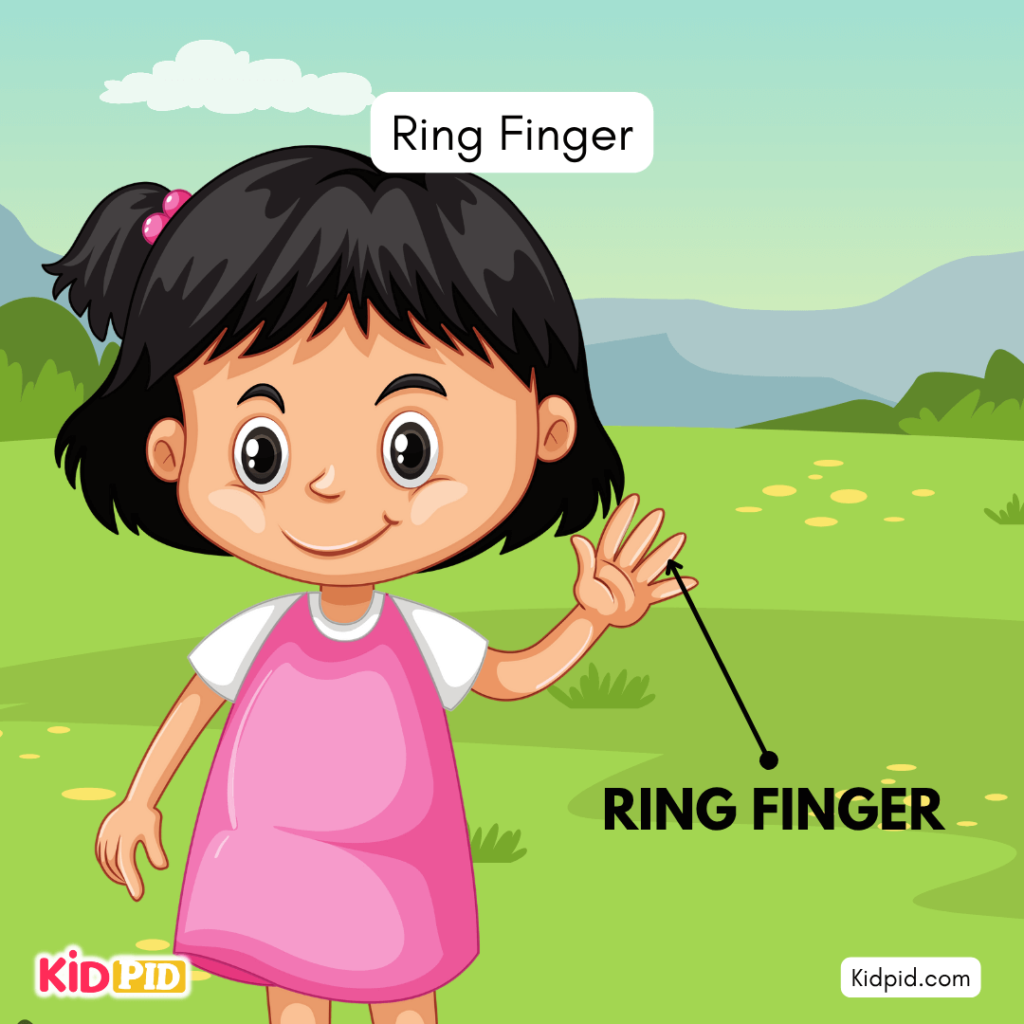 Explore the Parts of the Body – THE HAND - Kidpid