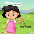 Explore the Parts of the Body – THE HAND - Kidpid