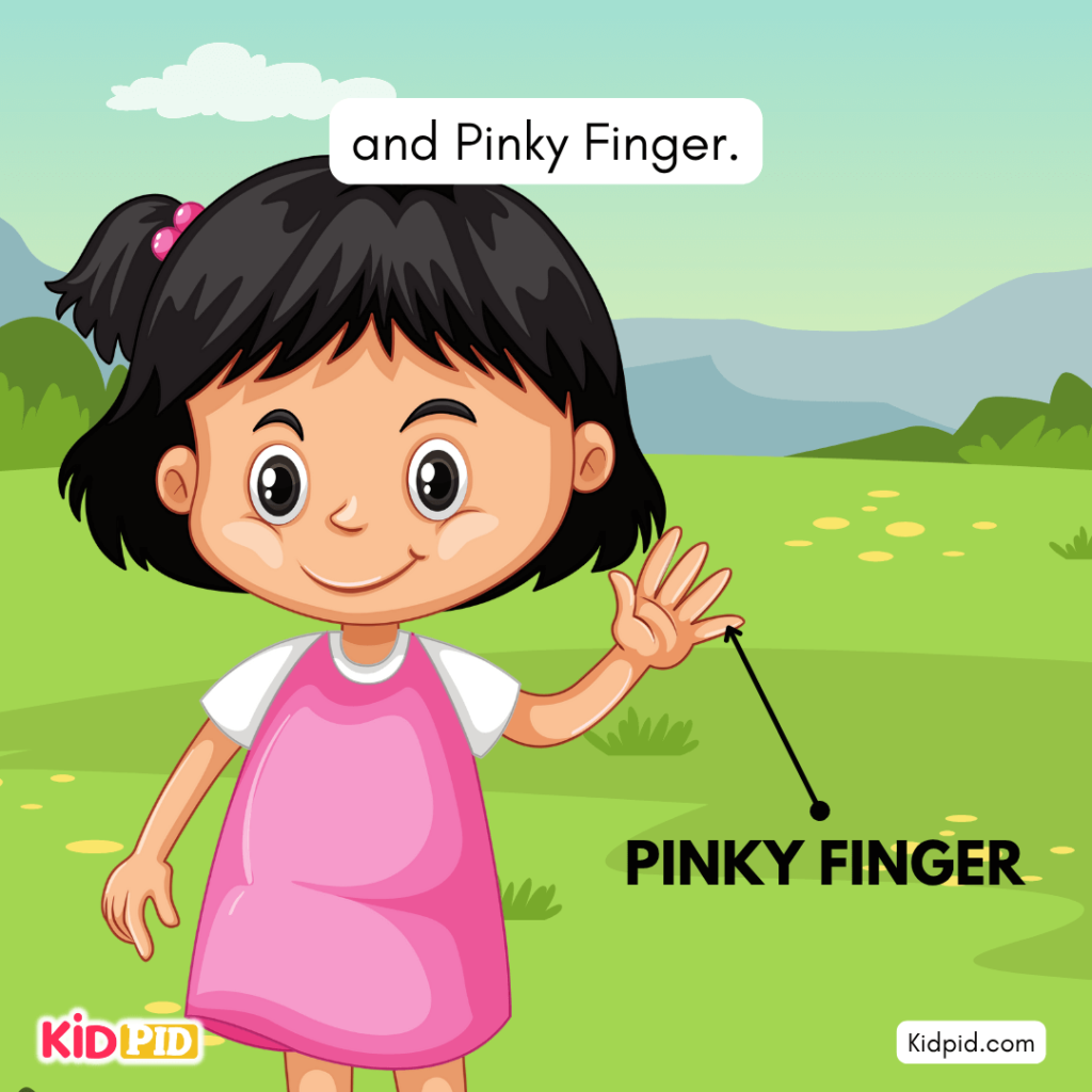Explore the Parts of the Body – THE HAND - Kidpid