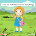 Explore the Parts of the Body – THE HAND - Kidpid