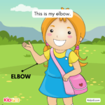 Explore the Parts of the Body – THE HAND - Kidpid