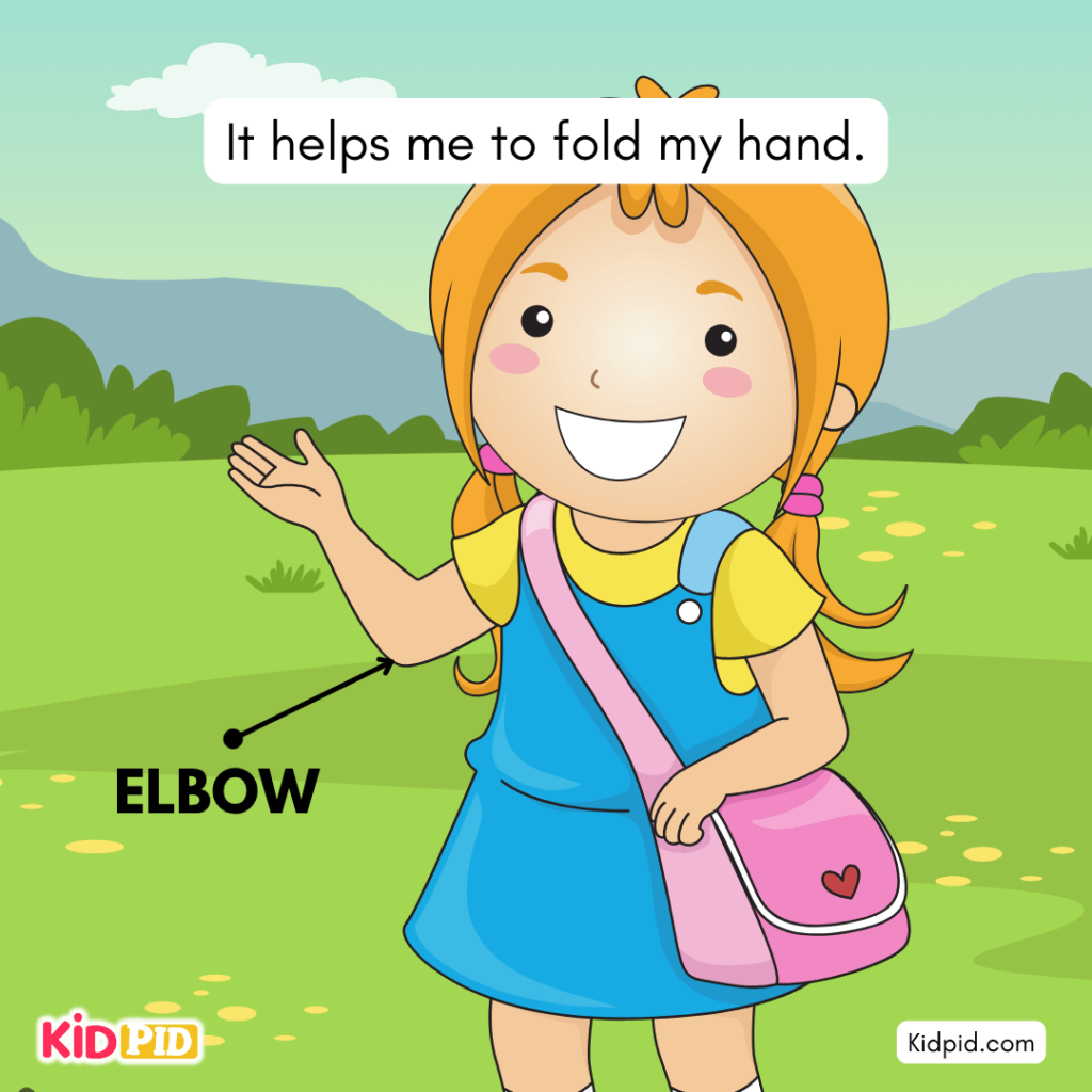 Explore the Parts of the Body – THE HAND - Kidpid